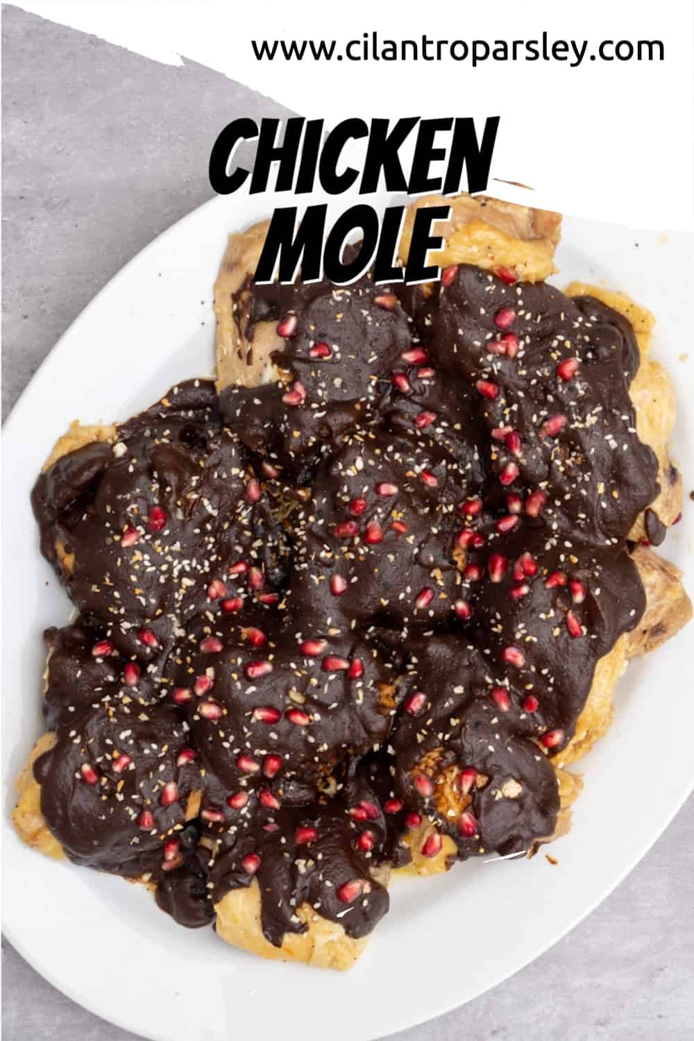 Dona Maria Chicken Mole - Cilantro Parsley