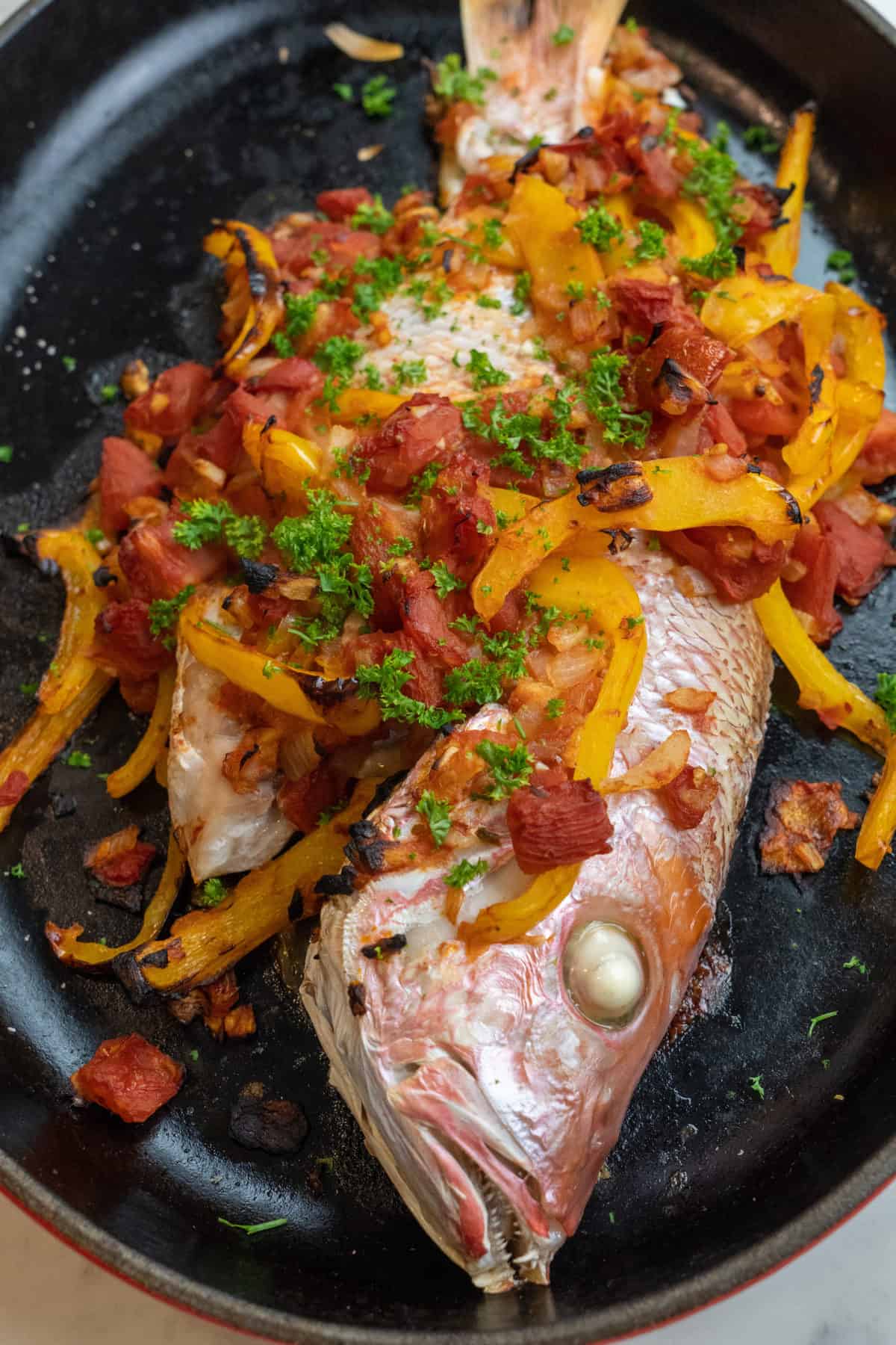 Veracruz Style Fish (Mexican Fish)- Cilantro Parsley